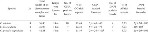 Orcein Cma And Dapi Karyotype Analysis In 3 Corchorus Species Download Table