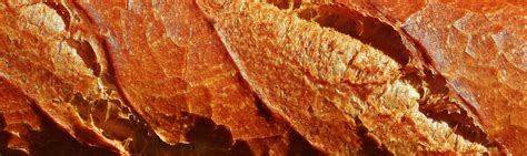 Free Images Rock Wood Leaf Trunk Formation Food Produce Soil