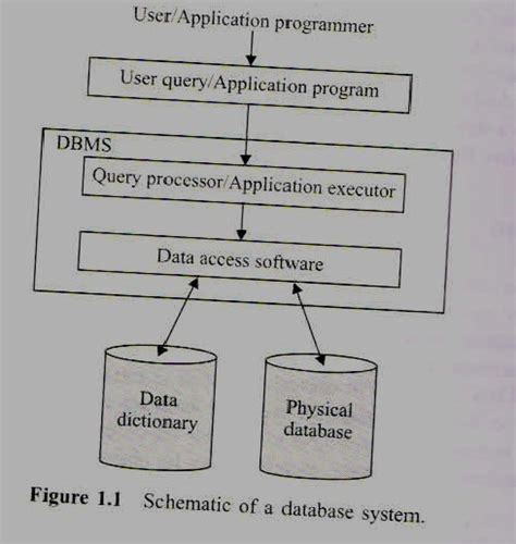 What Is Database Management System Coder Baba