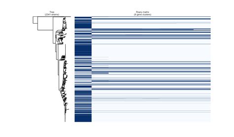 Roary Plots Py PDF Heatmap Blurs Edges Where Png Does Not Issue Sanger Pathogens