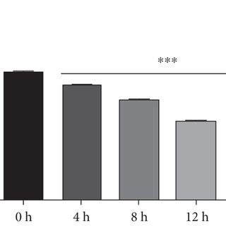 Cell Viability CCK 8 Assay Results Of RLE 6TN Cells A H2O2 Induced