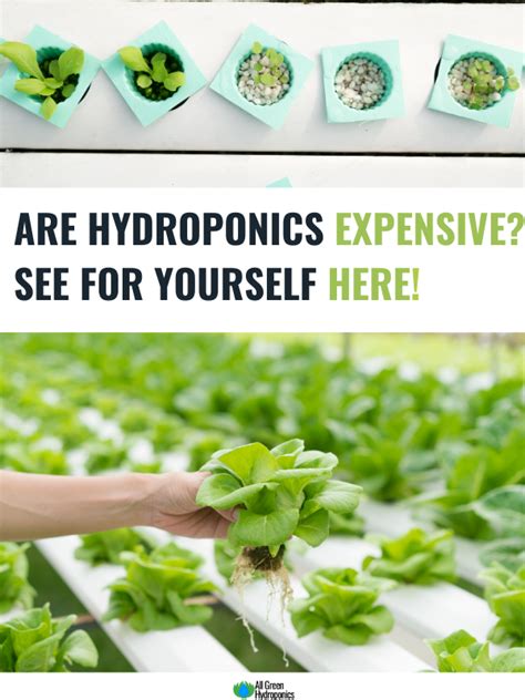 Complete Hydroponic Systems Indoor Plant Growing Systems