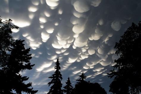 一度は見てみたい珍しい雲