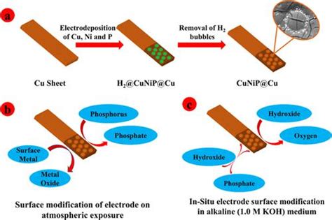 氢气气泡辅助一步电沉积 Cu、ni 和 P 用于电催化水氧化acs Applied Energy Materials X Mol