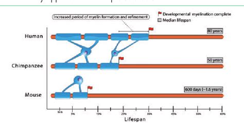 Figure 1 From An Evolutionary Approach Semantic Scholar