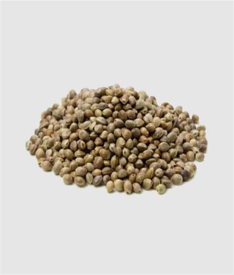 Hemp Seeds Wholesale Supplies Request A Quotation Today