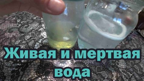 Аппарат для приготовления живой и мертвой воды | Дела Хозяйские | Дзен