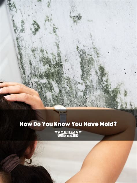 How To Avoid Mold In Your House