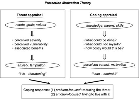 Adapted Version Of Protection Motivation Theory Pmt With Coping