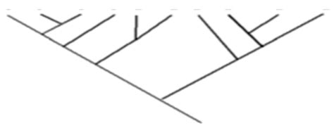 Solved Suppose You Are Trying To Infer The Following