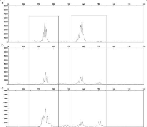 Electropherograms Obtained For Dna Fragment Analysis By Capillary