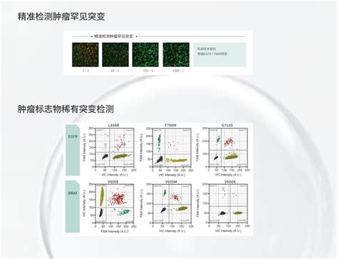 Drop A200 全自动数字pcr分析仪 Sinsage 陕西捷晶生物工程有限公司