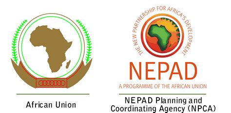 Opiniones De Nepad
