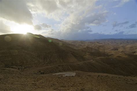 에셀나무를 심고 내 영혼이 잠잠히 하나님만을 기다림은 나의 구원이 그에게서만 나오기 때문이다 하나님만이 나의 반석 나의 구원 나의 요새이시니 나는 결코 흔들리지