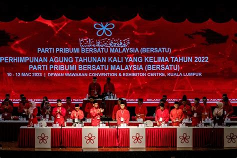 Muhyiddin Claims Umno Can No Longer Champion Malay Rights Only One