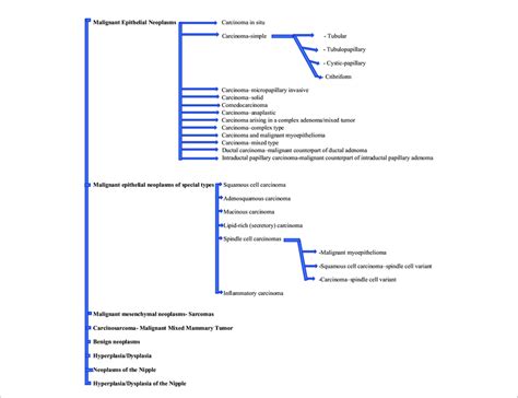 Goldschmidt Et Al 41 Proposed Histological Classification Of