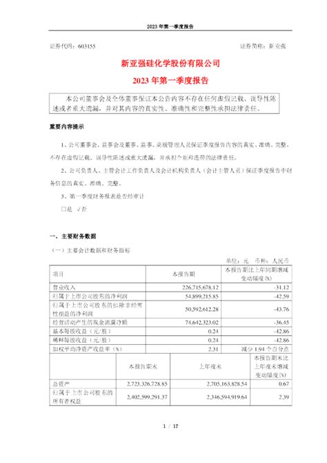 新亚强：2023年第一季度报告