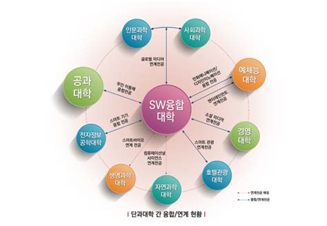 Sw중심대학 Sw융합