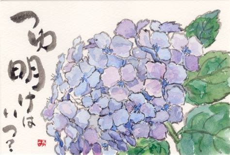 アジサイ 絵手紙 花の絵手紙 楽天ブログ