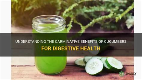 Understanding The Carminative Benefits Of Cucumbers For Digestive Health Shuncy