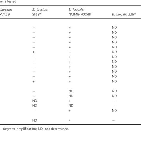 Primer Sequences Used In This Study For Verification Of Enterococcus