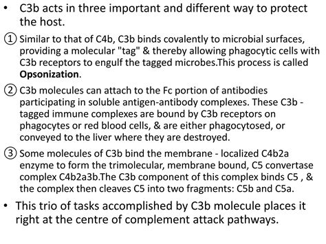 The Complement System In Immunology Pptx