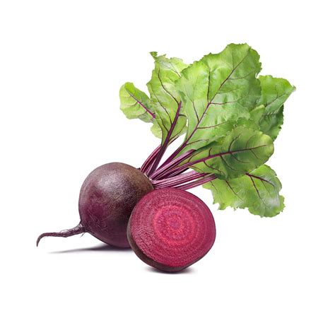 Veggycation