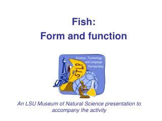 PPT Parts Of The Fish And The Function PowerPoint Presentation Free Download ID