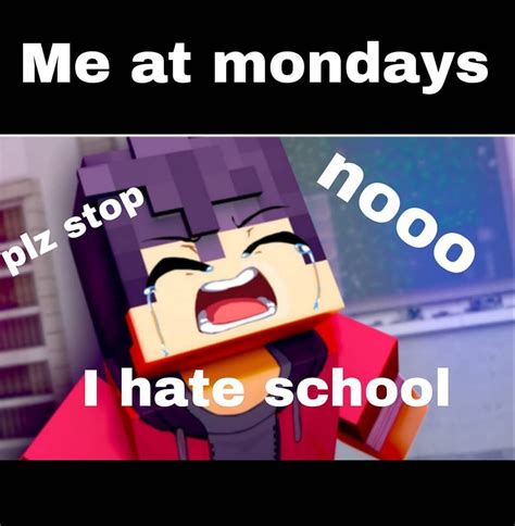 Pin On Funny Aphmau