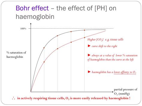 Ppt Myoglobin And Hemoglobin Powerpoint Presentation Free Download Id 2064388