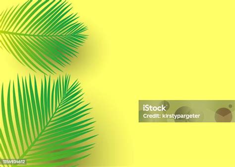 Feuilles Darbre De Palmier Sur Un Fond Jaune Vif Vecteurs Libres De