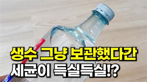 매일 마시는 생수에 세균이 득실득실 올바른 생수 보관법