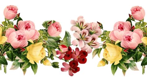 Bunga Png 20 Gambar Bunga Png Flower Vintage Frame Download