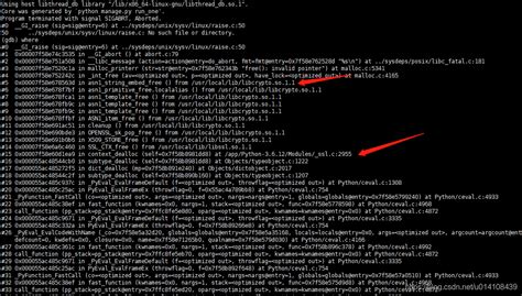 Docker 容器报core Dump错误，python程序异常终止 Ulimit Core 1 Csdn博客