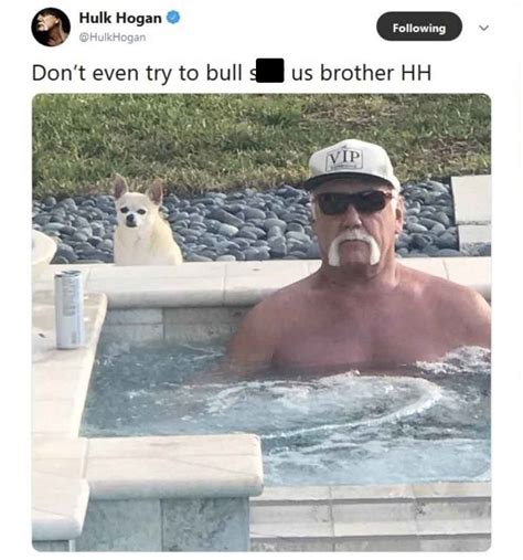 27 Unhinged Hulk Hogan Tweets To Celebrate Him Deleting His Twitter