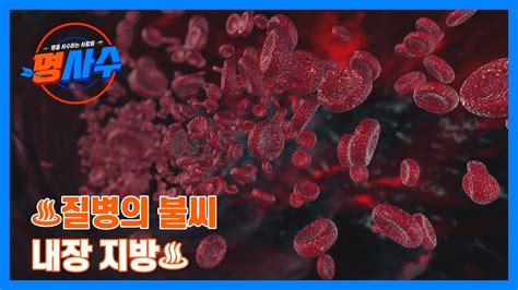 질병의 불씨♨ 염증 물질 And 나쁜 호르몬 내뿜는 내장 지방 Mbn 230524 방송 Youtube