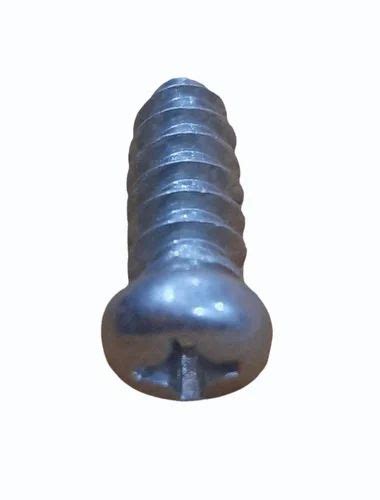 Stainless Steel Jis Standard Pan Head Self Threading Screw At Best Price In Sonipat