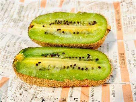 キウイは食べ物。 Urabeを覗く時、urabeもまた、こちらを覗いている。