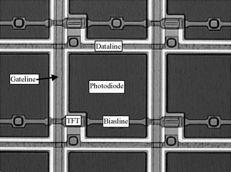 Figure 2 From Large Area Amorphous Silicon Tft Based X Ray Image