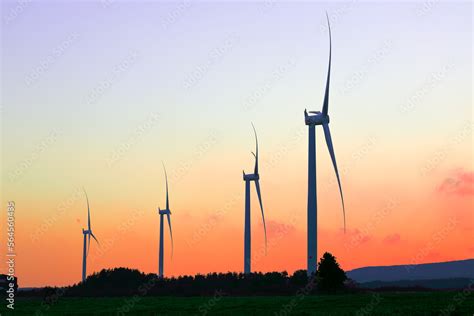Foto De 대한민국 제주도에 있는 유명한 관광 명소인 유채꽃 프라자의 겨울 풍경이다 Do Stock Adobe Stock