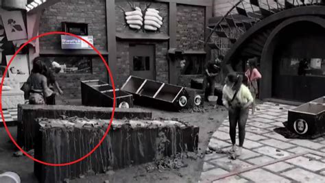 Bigg Boss 13 Did Devoleena Bhattacharjee Slap Shehnaz Angry Fans