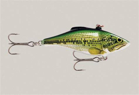 Best Post Spawn Bass Lures For Catch Em Easy