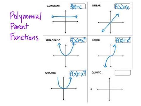 Quartic Parent Function