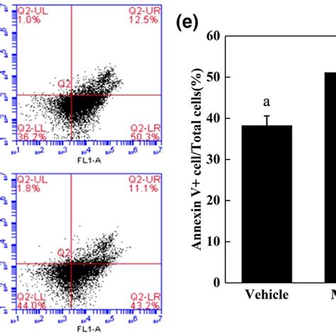 The Effect Of Savep On Apoptosis Of Hepg2 Cells Was Detected By Flow