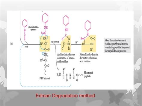 Protein And Nucleic Acid Sequencing Ppt