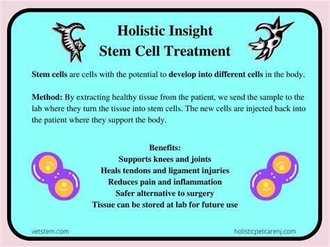 holistic insight benefits of stem cells whippany new jersey