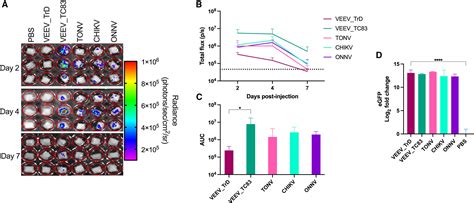 Alphaviral Backbone Of Self Amplifying Rna Enhances Protein Expression And Immunogenicity