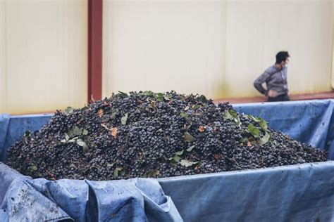 Yo Soy De Soler Por Herminio Gabaldón Julian Soler