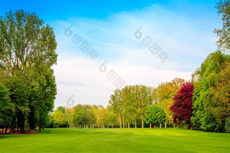 绿色的田野美丽的风景草地和森林窗边风景图片 包图网企业站