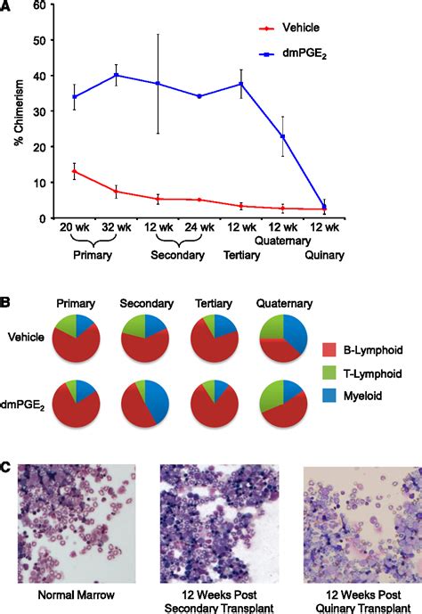 Figure 1 From Prostaglandin E2 Enhances Long Term Repopulation But Does
